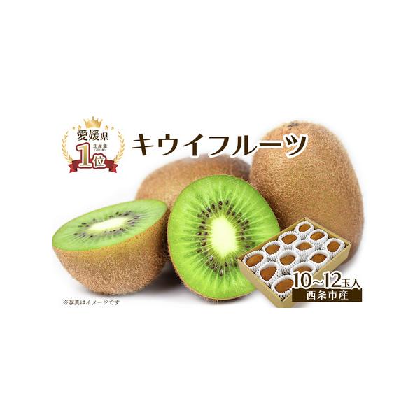 ■ 容量　グリーンキウイ　10〜12個入り　　※サイズはお選びいただけません。■ 配送について　配送期間：2026年1月〜2月下旬の間にお届け（予定）　　【必ずご確認ください】　※配送できない地域：北海道(離島)・東京(小笠原諸島)・九州(...