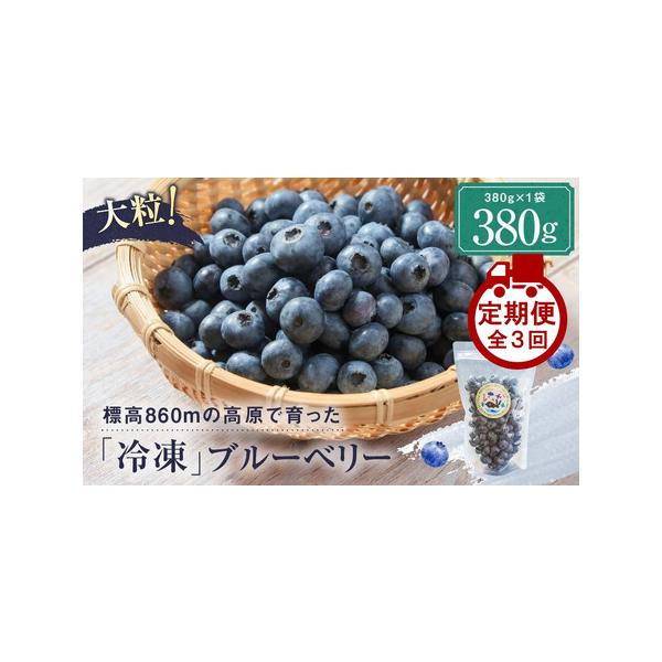 ■ 容量　冷凍ブルーベリー380g×1袋×3回　※毎月1回、合計3回お届けします（合計3袋）。　　【賞味期限】　【賞味期限】発送日より180日(冷凍の場合）　【保存方法】冷凍保存■ 配送について　お申込みの翌月から１回目の発送を開始いたしま...