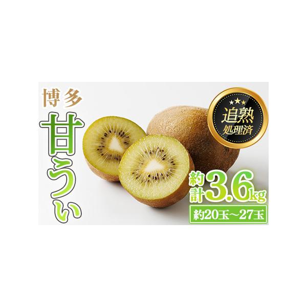 ■ 容量　福岡県ブランド キウイフルーツ 博多 甘うぃ：約3.6kg・20〜27玉■ 配送について　2026年11月上旬〜11月下旬に順次発送　タイプ：【冷蔵】