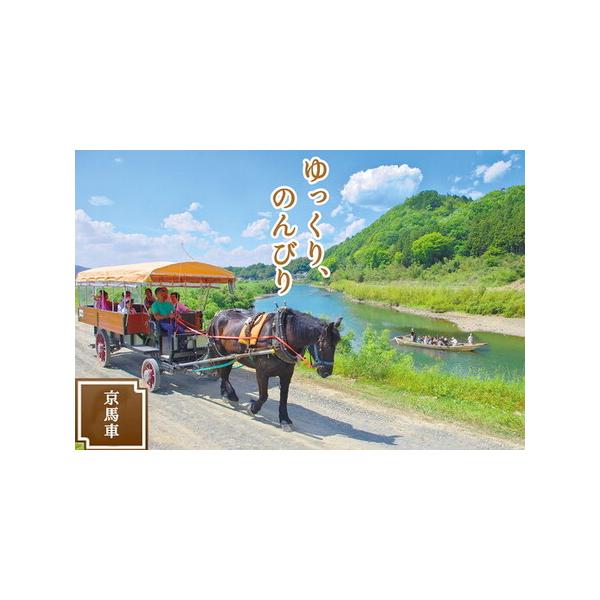 ■ 容量　子ども（4歳から12歳まで）1枚■ 配送について　17日以内に発送します