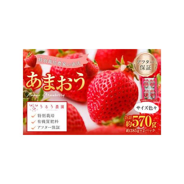 ■ 容量　約570g（約285g×2パック）　※サイズは「M、L、2L、3L、4L、G（グランデ）」の中からおまかせとなります。■ 配送について　2026年3月上旬〜2026年4月下旬発送予定　タイプ：【冷蔵】