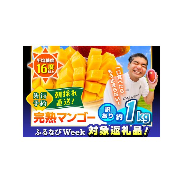 ■ 容量　菊池マンゴー約1kg（2?3玉）L?4Lサイズ　　■保存方法　直射日光と高温多湿を避けた状態で追熟（保存）してください。■ 配送について　ご入金確認後、2026年6月上旬ごろから順次発送いたします。　タイプ：【冷蔵】