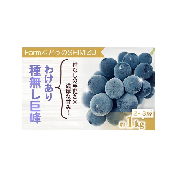 ■ 容量　わけあり種無し巨峰 約1kg（2〜3房）■ 配送について　2026年9月中旬〜10月上旬　※月曜日、金曜日の発送はお休みとなります。　タイプ：【冷蔵】