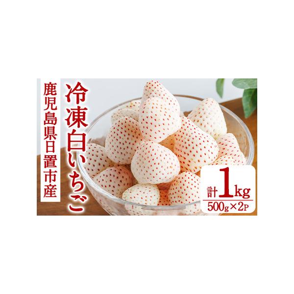 ■ 容量　冷凍白いちご　約500g×2袋・計約1kg　　▼白いちご：エンジェルエイト(天使のいちご)■ 配送について　入金確認後、1ヶ月以内の発送　※配送日時の指定は出来かねますので、ご了承くださいませ。　※お申込みが集中した場合や、年末年...