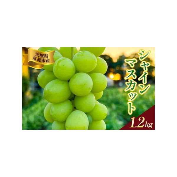 ■ 容量　1.2kg■ 配送について　2026年8月中旬〜9月中旬頃に順次発送予定　タイプ：【常温】
