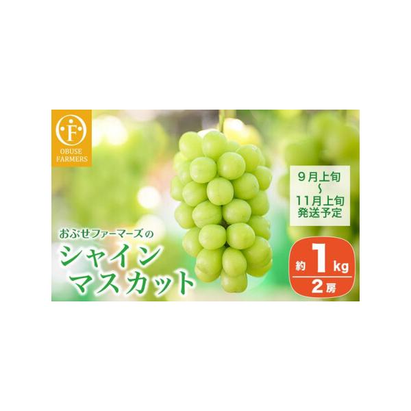 ■ 容量　シャインマスカット 約1kg（2房）■ 配送について　2026年9月上旬〜11月上旬予定　※天候や収穫状況により、お届けや規格が変更になる場合がございます。　タイプ：【常温】