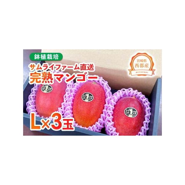 ■ 容量　Ｌサイズ×3個　※1個あたり325g〜375g（サムライファーム基準重量）■ 配送について　令和8年5月中旬〜8月中旬あたりの順次発送予定　※天候等により、収穫が早まったり遅れる場合がございます　※生鮮食品ですので、ご不在がある場...