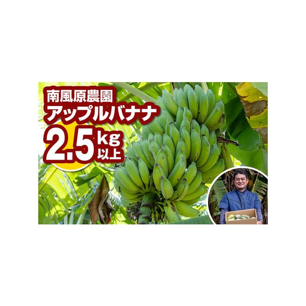 ■ 容量　アップルバナナ 2.5kg以上　　【消費期限】　直射日光・乾燥を避け、箱から出し常温にて保存　青果物のため、追熟後は早めにお召し上がりください。　※緑色が消え黄色に熟（追熟）したら食べごろです。　　【アレルギー】　バナナ■ 配送に...