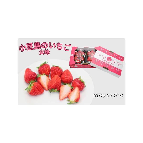 ■ 容量　250g×2 パック入り　■ 配送について　2026年3月上旬〜5月上旬　　タイプ：【冷蔵】