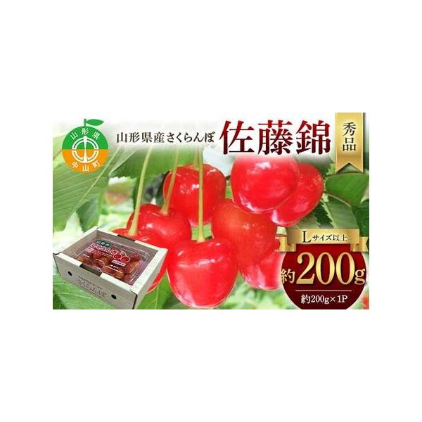 ■ 容量　山形県産さくらんぼ＜佐藤錦＞秀品 約200g×1P Lサイズ以上■ 配送について　2026年6月初旬頃〜2026年6月中旬頃　タイプ：【冷蔵】