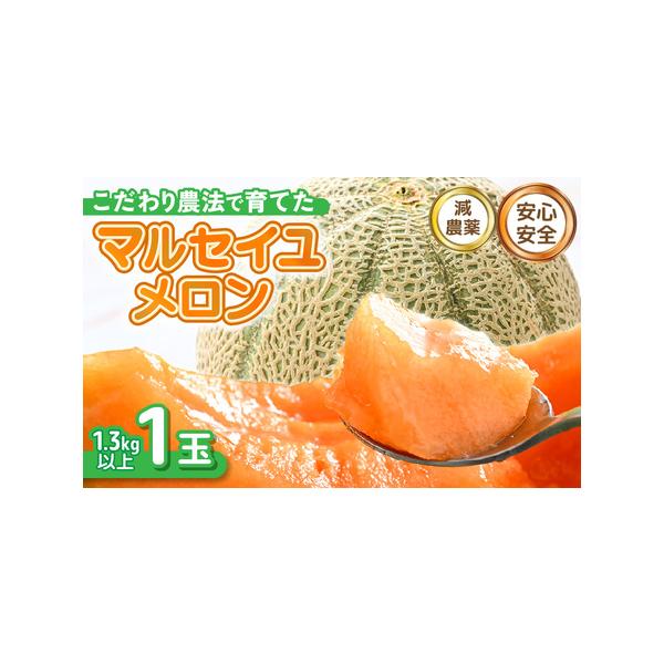 ■ 容量　■ 内容量等　マルセイユメロン 1玉　(1玉あたり：1.3kg以上)　　■ 原材料　メロン (坂井市産)　　■ 本品に含まれるアレルギー表示28品目　なし　　■ 消費期限　発送日より7日以内　※商品到着後すぐに冷暗所で保管してくだ...
