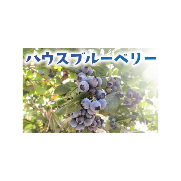 ■ 容量　ブルーベリー 100g×4パック■ 配送について　◆こちらの返礼品は到着日の指定はできかねます。　◆ご不在日がある場合は事前にお知らせください。　◆事前のお申し出がなく、長期不在等によりお礼の品をお受取りできなかった場合、再発送・...