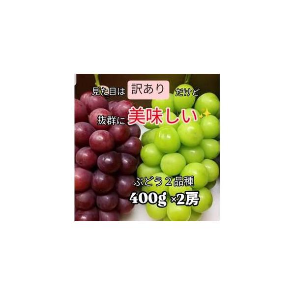 ■ 容量　※上記に記載■ 配送について　2026/8/20〜2026/9/30　タイプ：【冷蔵】