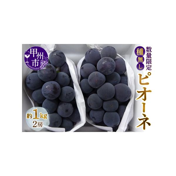 ■ 容量　種なしピオーネ 約1kg （2房）　　【申込期日】　2026年8月中旬頃まで　【消費期限】　到着次第、お早めにお召し上がりください。　　【注意事項】　※上記注意事項を必ずご確認ください。　※画像はイメージです。　※収穫時期により発...
