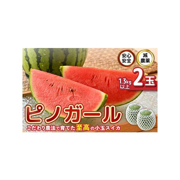 ■ 容量　■ 内容量等　マルセイユメロン 2玉  (1玉あたり：1.3kg以上)　　■ 原材料　小玉スイカ (坂井市産)　　■ 本品に含まれるアレルギー表示28品目　なし　　■ 賞味期限　発送日より10日以内 (常温保存時)　※商品到着後す...