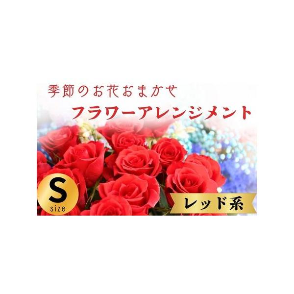 ■ 容量　1個　サイズ　幅 約25cm×高さ 約20cm〜25cm　　【鑑賞期間】5?7日程度　　【保存方法】直射日光を避け、できるだけ明るい室内に置いてください。その際、エアコンの風が直接当たる場所は避けてください。■ 配送について　※沖...