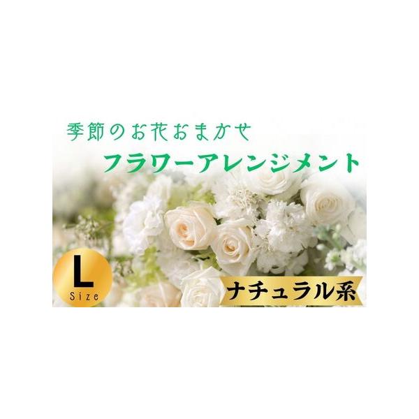 ■ 容量　【容量】1個 サイズ 幅 約35cm×高さ 約35cm〜40cm　　【鑑賞期間】5?7日程度　　【保存方法】直射日光を避け、できるだけ明るい室内に置いてください。その際、エアコンの風が直接当たる場所は避けてください。　■ 配送につ...