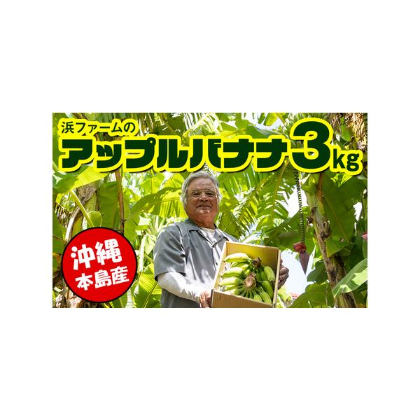 ■ 容量　３ｋｇ　　【消費期限】　直射日光・乾燥を避け、箱から出し常温にて保存。　青果物のため、追熟後は早めにお召し上がりください。　※緑色が消え黄色に熟（追熟）したら食べごろです。　　　【アレルギー】　バナナ■ 配送について　申込期日：通...