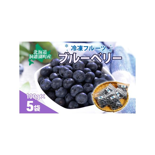 ■ 容量　役に立ちます　冷凍カット野菜　ブルーベリー100g×5袋　■ 配送について　2025年9月初旬より順次出荷　　タイプ：【冷凍】