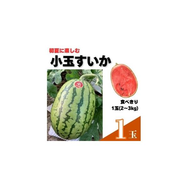 ■ 容量　小玉スイカ１玉　（1玉あたり２kg〜３kg）　タイプ：【常温】