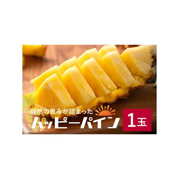 ■ 容量　ハッピーパイン[1玉(約800g)]　原産地:沖縄県糸満市　タイプ：【冷蔵】