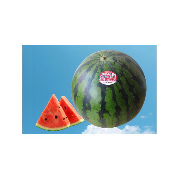 ■ 容量　2Lサイズ　以上　1玉約7〜9ｋg　われもの注意　■ 配送について　ワレモノ注意　タイプ：【常温】