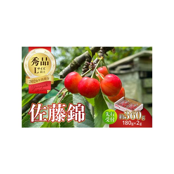 ■ 容量　さくらんぼ 佐藤錦 約360g（180g×2P）　秀品以上　Ｌサイズ以上　※天候の条件により品種が「紅秀峰」へ変更になる場合がございます■ 配送について　2026年6月より順次発送予定　タイプ：【冷蔵】