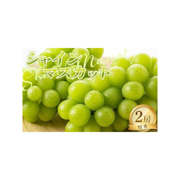 ■ 容量　シャインマスカット　等級：特秀　容量：2房入り（約1kg以上）　■ 配送について　令和8年9月上旬から順次発送予定　※生育状況により発送時期が前後する場合がございます。　※冷蔵便で発送します。　　タイプ：【冷蔵】