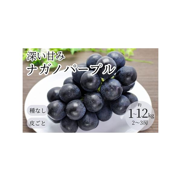 ■ 容量　約1kg~1.2kg　品種：ナガノパープル■ 配送について　2026年8月下旬頃~9月中旬の間で順次発送いたします。　（※返礼品の特性上、発送予定日が前後する場合がありますのでご了承ください。）　タイプ：【冷蔵】