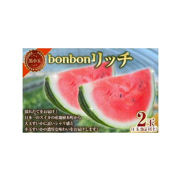 ■ 容量　計2玉　（1玉あたり：2kg以上）■ 配送について　2026年5月下旬〜6月上旬まで発送予定　タイプ：【常温】
