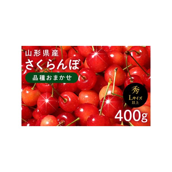 ■ 容量　山形県産さくらんぼ 秀/L 以上　バラパック詰め 400g　品種：佐藤錦、紅秀峰、大将錦、紅てまり、やまがた紅王 など■ 配送について　2026年6月中旬〜7月中旬頃に順次発送　※発送時期は、例年の発送時期を記載しております。天候...