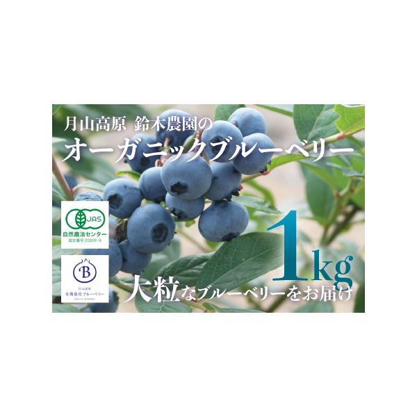 ■ 容量　月山高原ブルーベリー（大粒）　1kg　　【提供事業者】月山高原鈴木農園　　【賞味(消費)期限】到着後はすぐに冷蔵保存しお早目にお召し上がり下さい。　　▲冷凍する場合はブルーベリーは洗わずにそのまま冷凍してください。（水に濡れると痛...