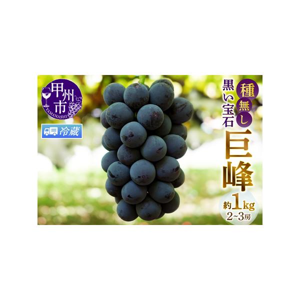 ■ 容量　甲州市産種無し巨峰 約1kg（2房〜3房）　　【申込期日】　2026年8月上旬まで　【消費期限】　到着次第、お早めにお召し上がりください。　　【注意事項】　※上記注意事項を必ずご確認ください。　※画像はイメージです。　※収穫時期に...