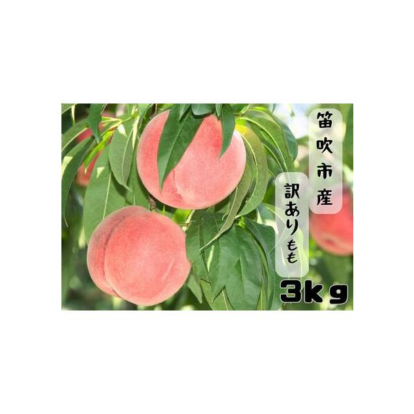 ■ 容量　約3kg(８玉〜１２玉入り)　※青果のため内容量は前後する場合がございます。■ 配送について　2026年6月下旬〜順次発送　※天候等により変動する場合がございます。　タイプ：【冷蔵】