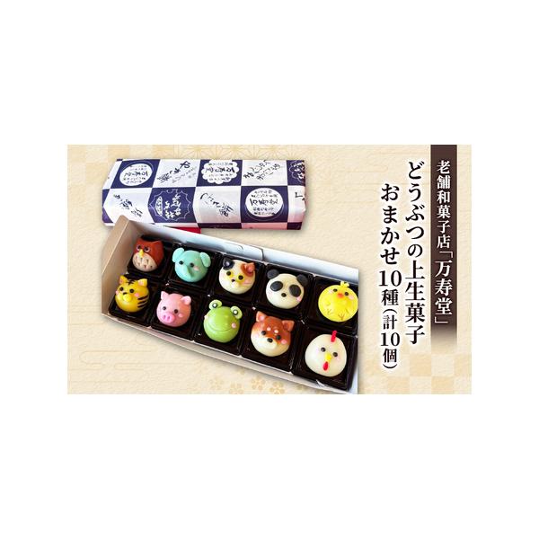 ■ 容量　【どうぶつの上生菓子おまかせ10種】　にわとり、柴犬、パンダ、ぞう、三毛猫、ぶた、ひよこ、かえる、とら、ふくろう、ジンベイザメ、ゴマフアザラシ、たぬき　の中から10種類　　タイプ：【冷凍】