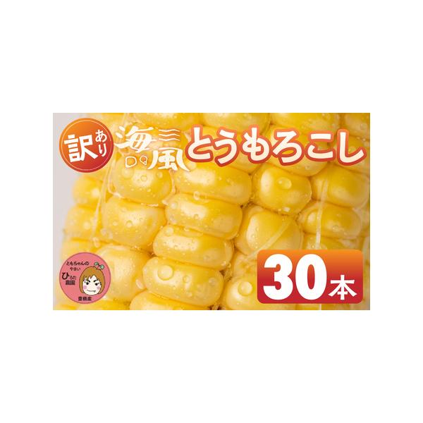 ■ 容量　黄色とうもろこし（訳あり）30本　　賞味期限は発送日から３日間　※生鮮食品のため、お早めにお召し上がりください■ 配送について　■申込期日：7月10日まで　※申込期日以内にご入金手続きを完了してください。　※お申込みの状況により受...