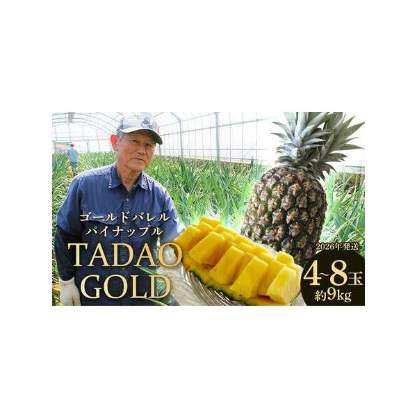 ■ 容量　TADAO GOLD（ゴールドバレルパイナップル）　4〜8玉（約9kg）■ 配送について　2026年7月中旬頃から8月初旬に順次発送予定 ※収穫状況により、発送時期が予告なく前後する場合がございます　タイプ：【冷蔵】