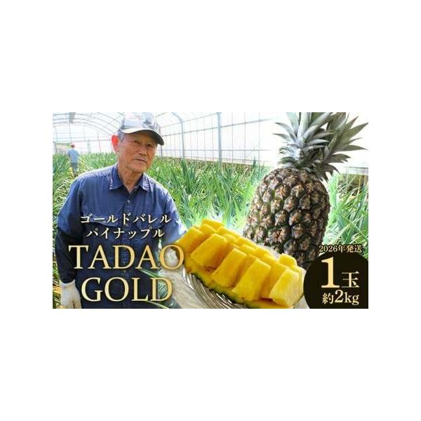 ■ 容量　TADAO GOLD（ゴールドバレルパイナップル）　1玉（約2kg）■ 配送について　2026年6月中旬頃から7月下旬に順次発送予定 ※収穫状況により、発送時期が予告なく前後する場合がございます　タイプ：【冷蔵】