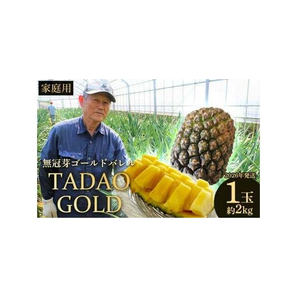 ■ 容量　【家庭用】TADAO GOLD（ゴールドバレルパイナップル）　無冠芽　1玉入り（約2kg）■ 配送について　2026年7月初旬から7月下旬に順次発送予定 ※収穫状況により、発送時期が予告なく前後する場合がございます　タイプ：【冷蔵】