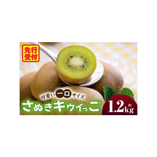 ■ 容量　さぬきキウイっこ　約1.2kg（24玉）　タイプ：【常温】