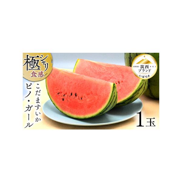 ■ 容量　こだますいか「 ピノ・ガール」 1玉　1玉目安：2kg■ 配送について　5月中旬〜6月下旬(作柄等により変更有)　タイプ：【常温】