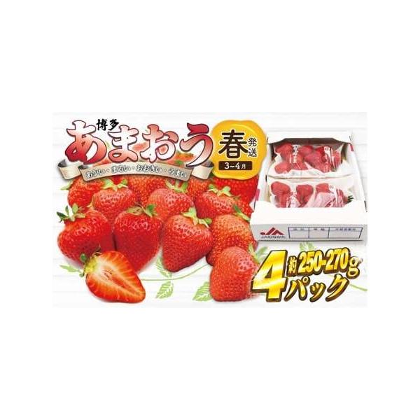 ■ 容量　(250g〜270g)×4パック■ 配送について　2026年3月上旬より順次発送予定　タイプ：【冷蔵】