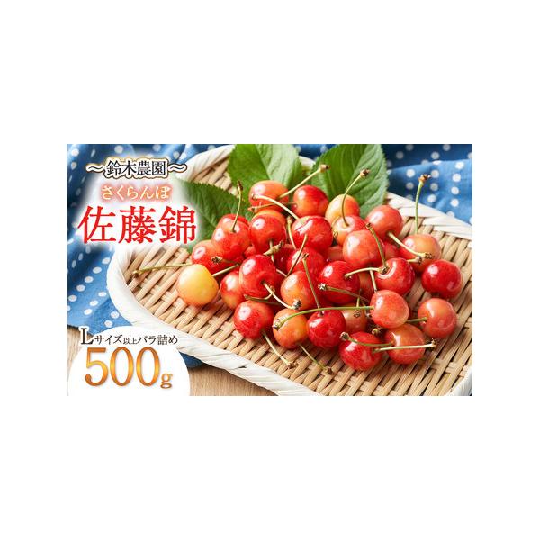 ■ 容量　さくらんぼ　佐藤錦 (Lサイズ以上) バラ詰め500g　　【提供事業者】鈴木農園（鈴木眞一）　【産地名】山形県鶴岡市　　【賞味(消費)期限】　さくらんぼはデリケートな果実ですので、到着後はすぐに冷蔵庫へ保管しお早めにお召し上がりく...