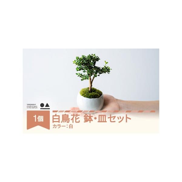 ■ 容量　0.35kg 1個■ 配送について　入金確認後2週間ほどで発送　タイプ：【常温】