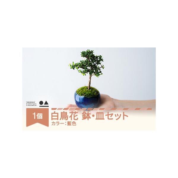 ■ 容量　0.35kg 1個■ 配送について　入金確認後2週間ほどで発送　タイプ：【常温】