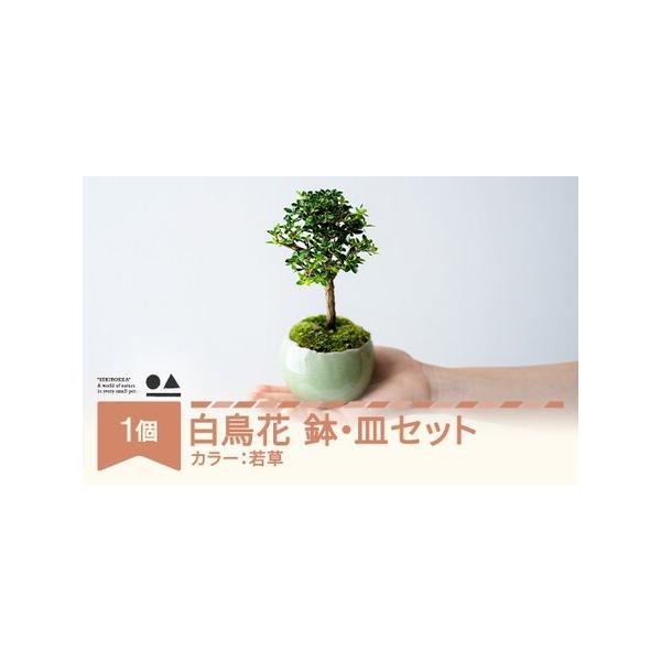 ■ 容量　0.35kg 1個■ 配送について　入金確認後2週間ほどで発送　タイプ：【常温】