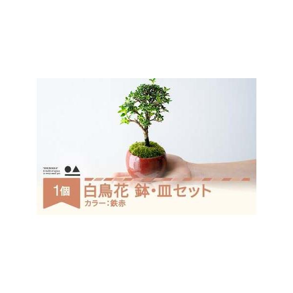 ■ 容量　0.35kg 1個■ 配送について　入金確認後2週間ほどで発送　タイプ：【常温】