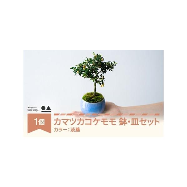 ■ 容量　0.35kg 1個■ 配送について　入金確認後2週間ほどで発送　　タイプ：【常温】