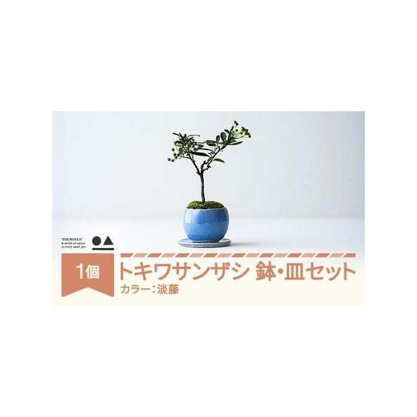 ■ 容量　0.35kg 1個■ 配送について　入金確認後2週間ほどで発送　タイプ：【常温】