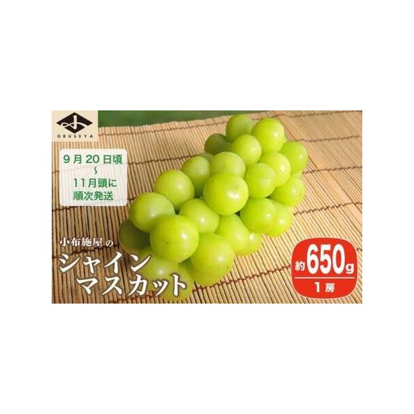 ■ 容量　シャインマスカット 約650g（1房）■ 配送について　2026年9月20日頃〜11月頭にかけて順次発送予定　※天候や収穫状況により、お届けや規格が変更になる場合がございます。　　小布施町のシャインマスカットの収穫時期は概ね9月中...